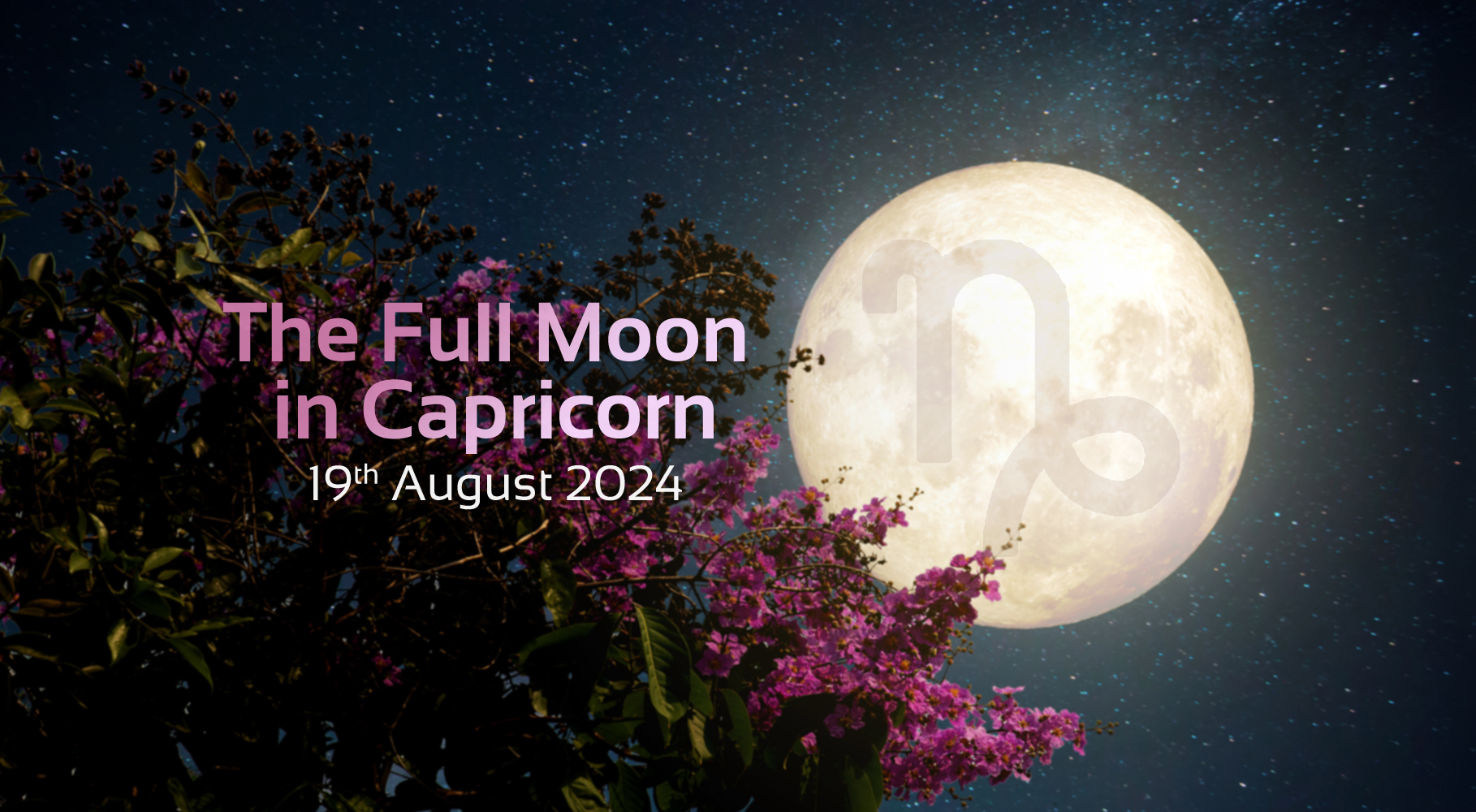 Full Moon in Capricorn | 19th August 2024 | Indigo's Oracle | Psychic Today